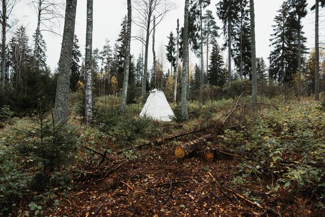 Varustelekan Valtteri Lindholm osti saaren, haluaa eroon vihasta | Apu