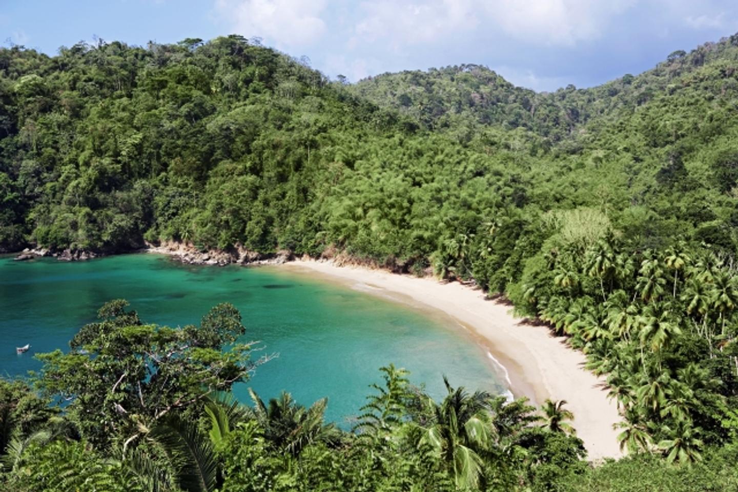 Tobago – pala taivasta | Mondo