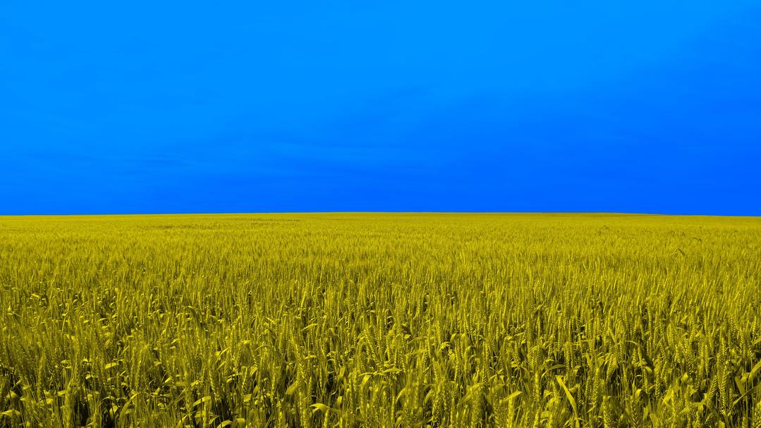 Ukrainalainen ruoka: Sodan uhreja tuetaan myös kauha kädessä | Image