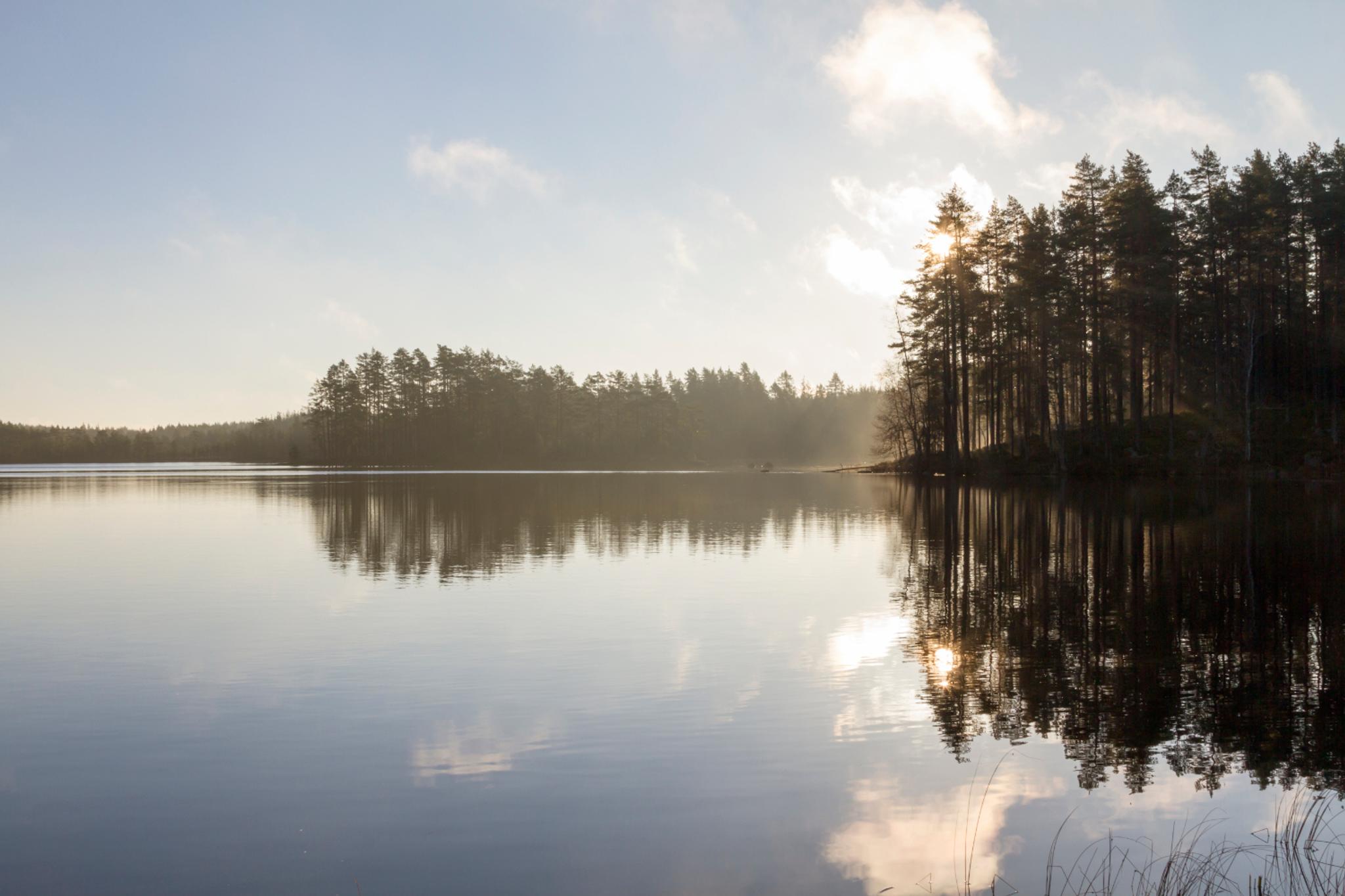 Marraskuu luonnossa: Hiljaisuus ennen talvea – Upeat luontokuvat | Apu
