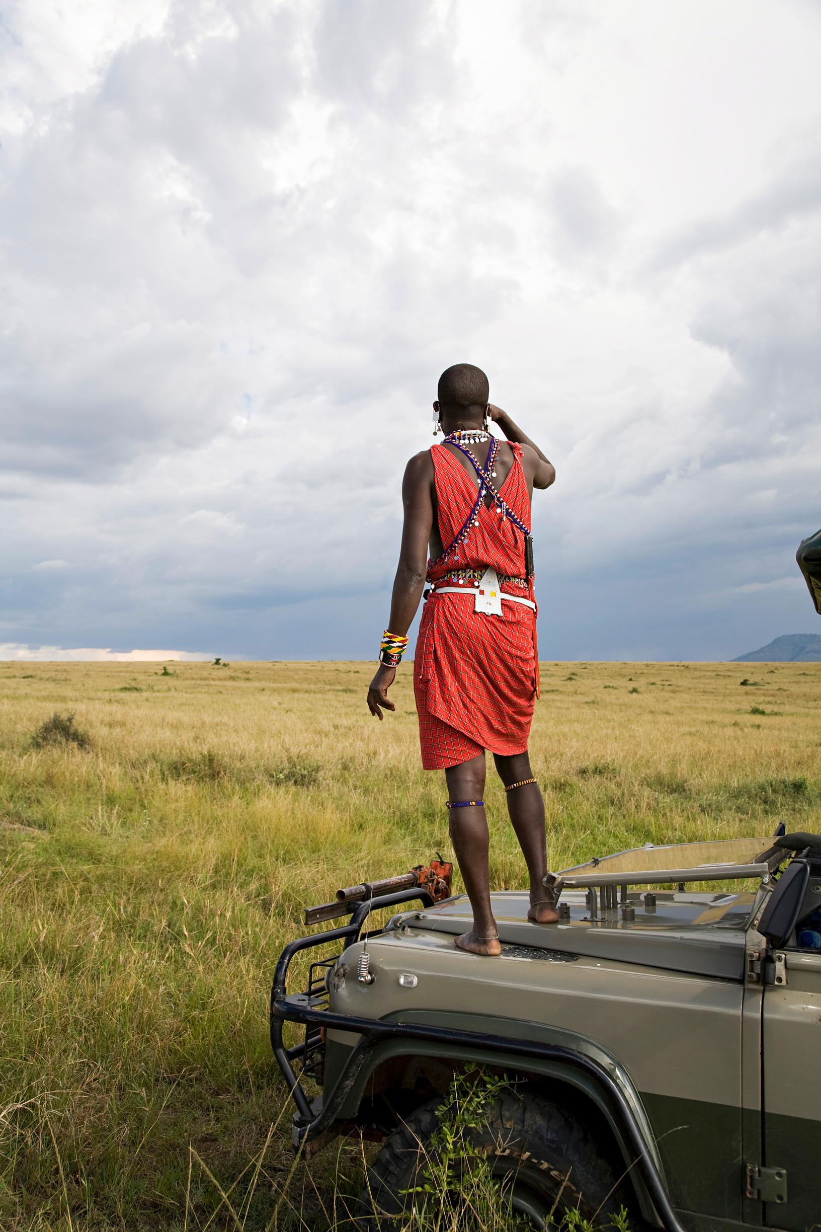 Gnuu-antilooppien vaellus on yksi eläinmaailman ihmeistä | Mondo