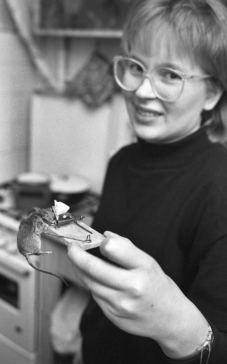 Arja Paananen neuvoo: Pohdi, miten käy, jos Venäjä voittaa sodan | Apu