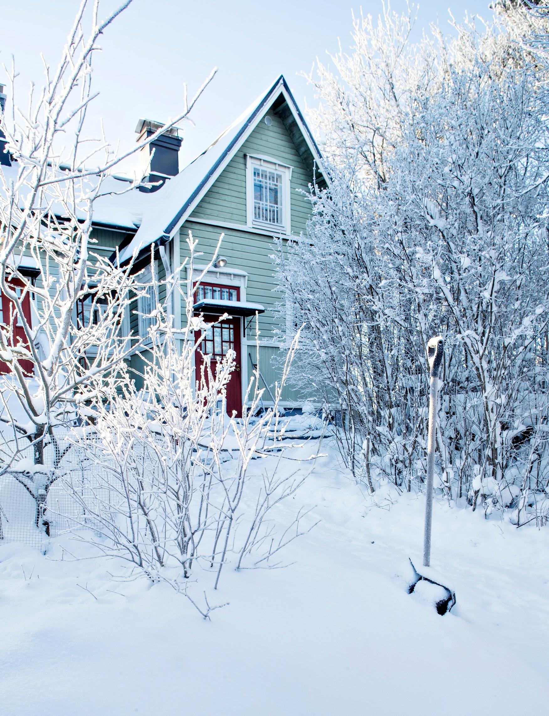 Pispalan laella sijaitseva Heikki Salon koti on kuin runo | Apu