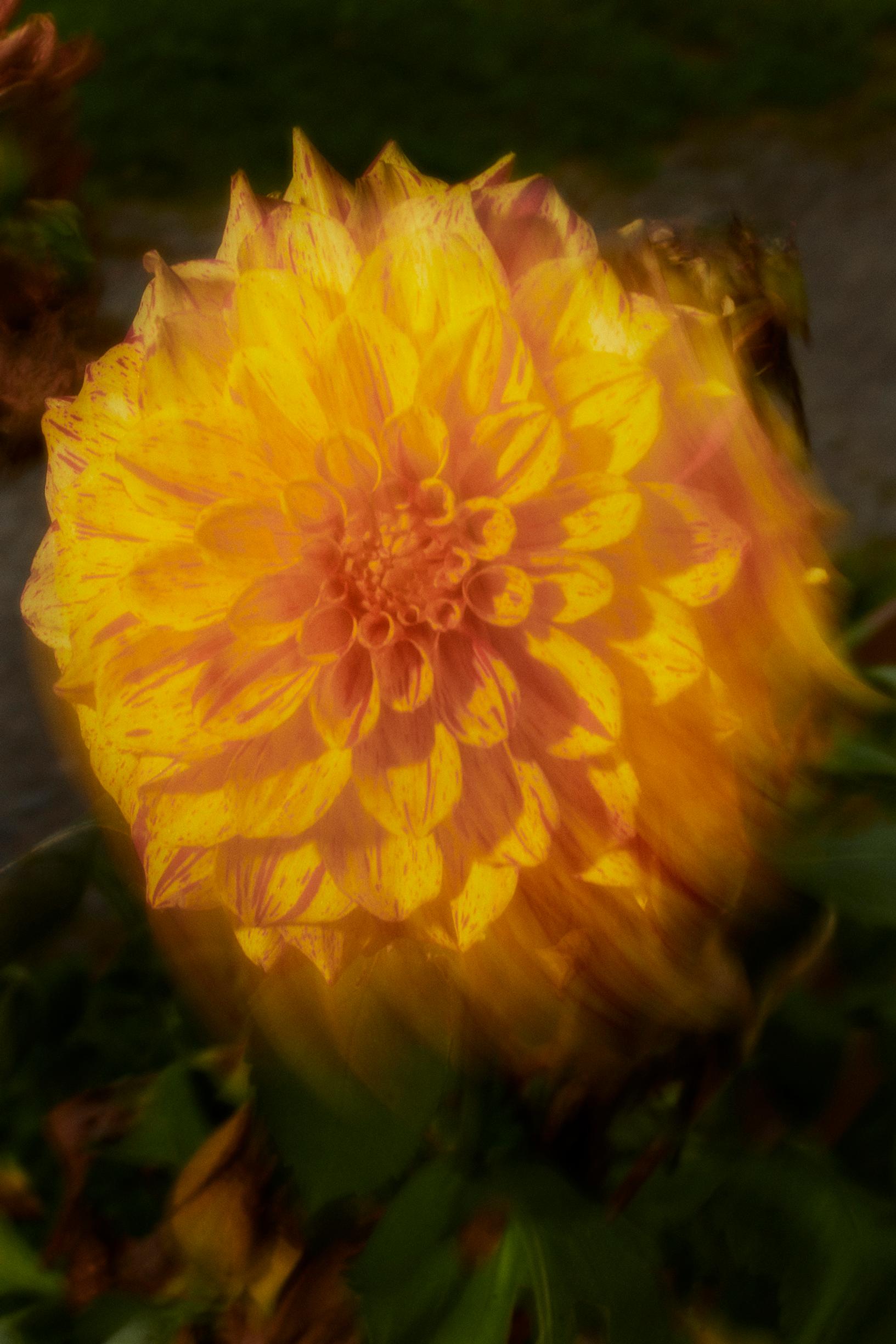 Kaltoinkohtelua psykiatrisessa osastohoidossa | Julia Sangervo | Apu