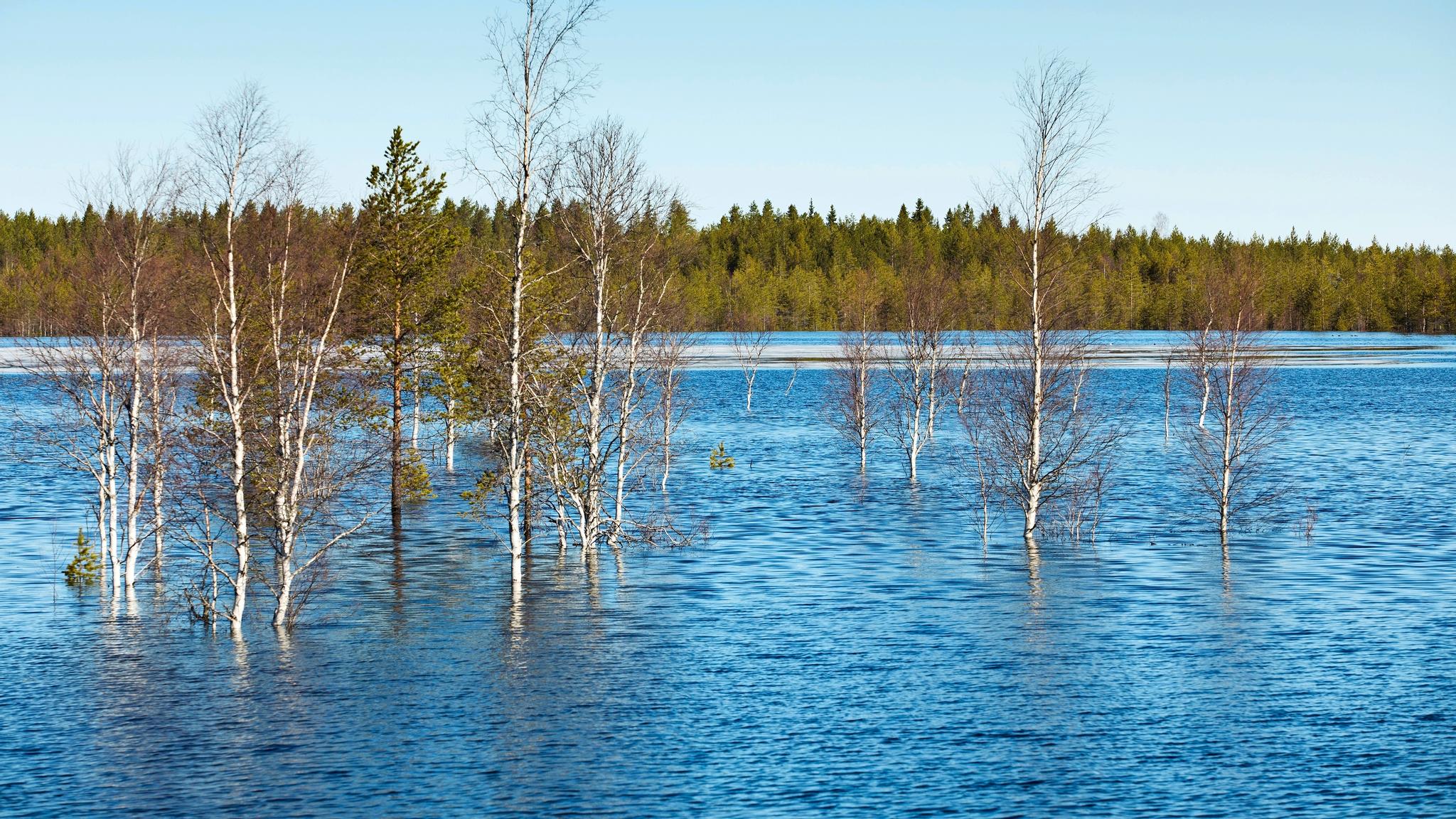 Tulvat 2021: Viileä kevätsää lisää Lapin tulvariskiä | Apu