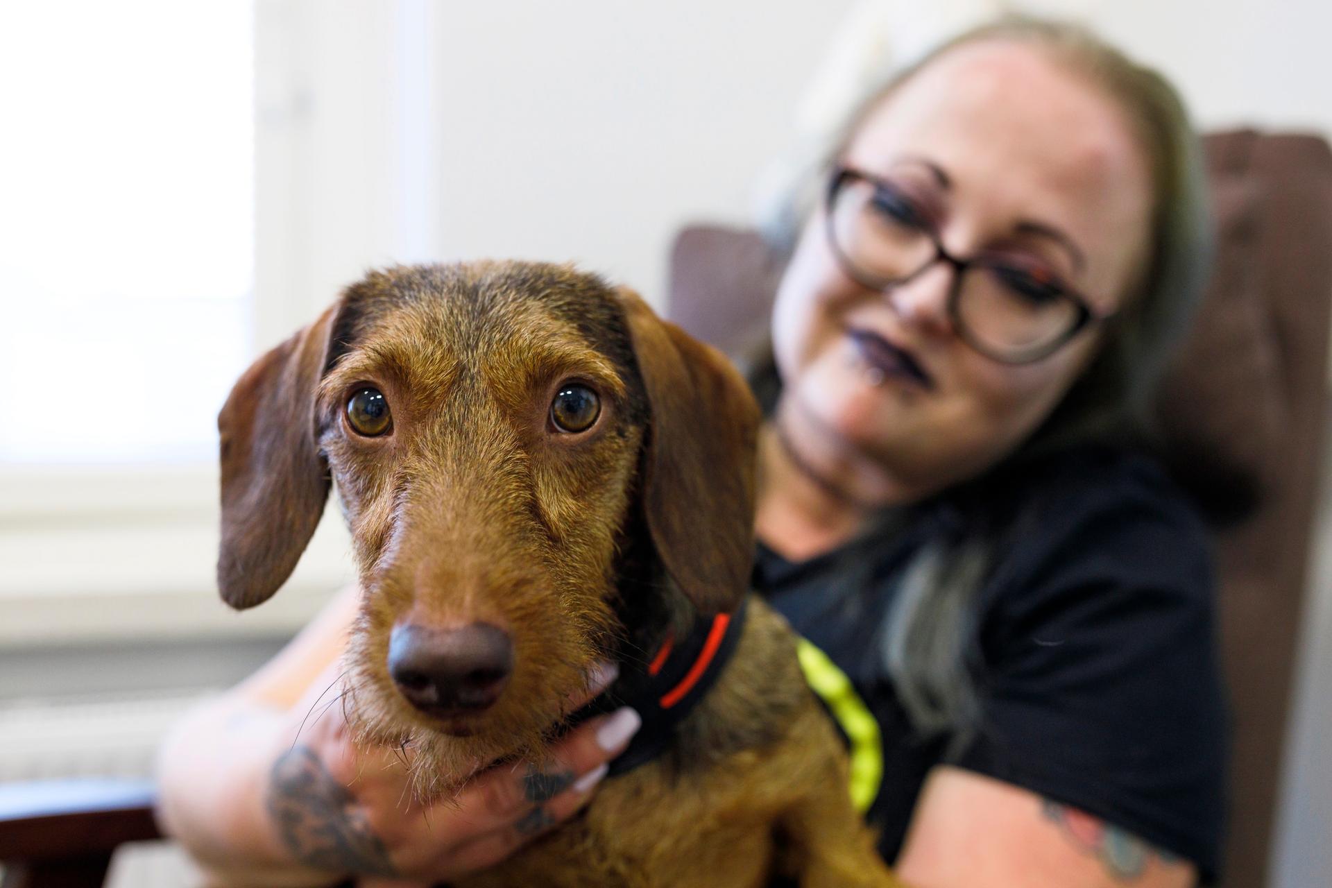 Kiitos hoitajalle | Psykoosihoidon poliklinikan hoitokoirat | Apu