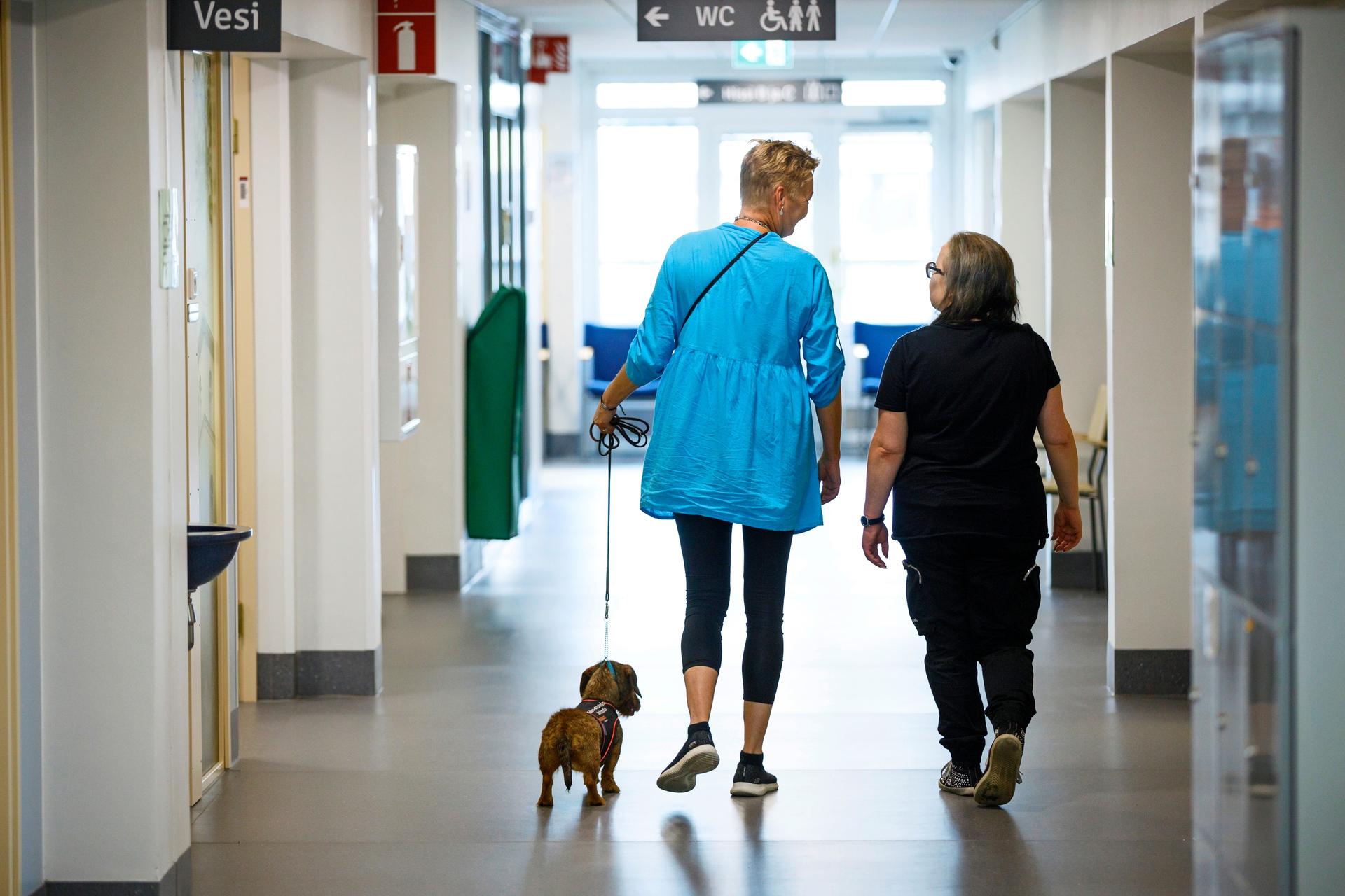 Kiitos hoitajalle | Psykoosihoidon poliklinikan hoitokoirat | Apu