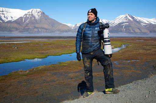 Alkukesän suo on kukkia täynnä | Apu