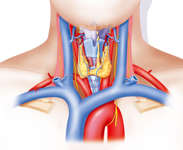 Kaulavaltimon ahtauma löytyi jo toisen kerran – Apu-klinikka | Apu