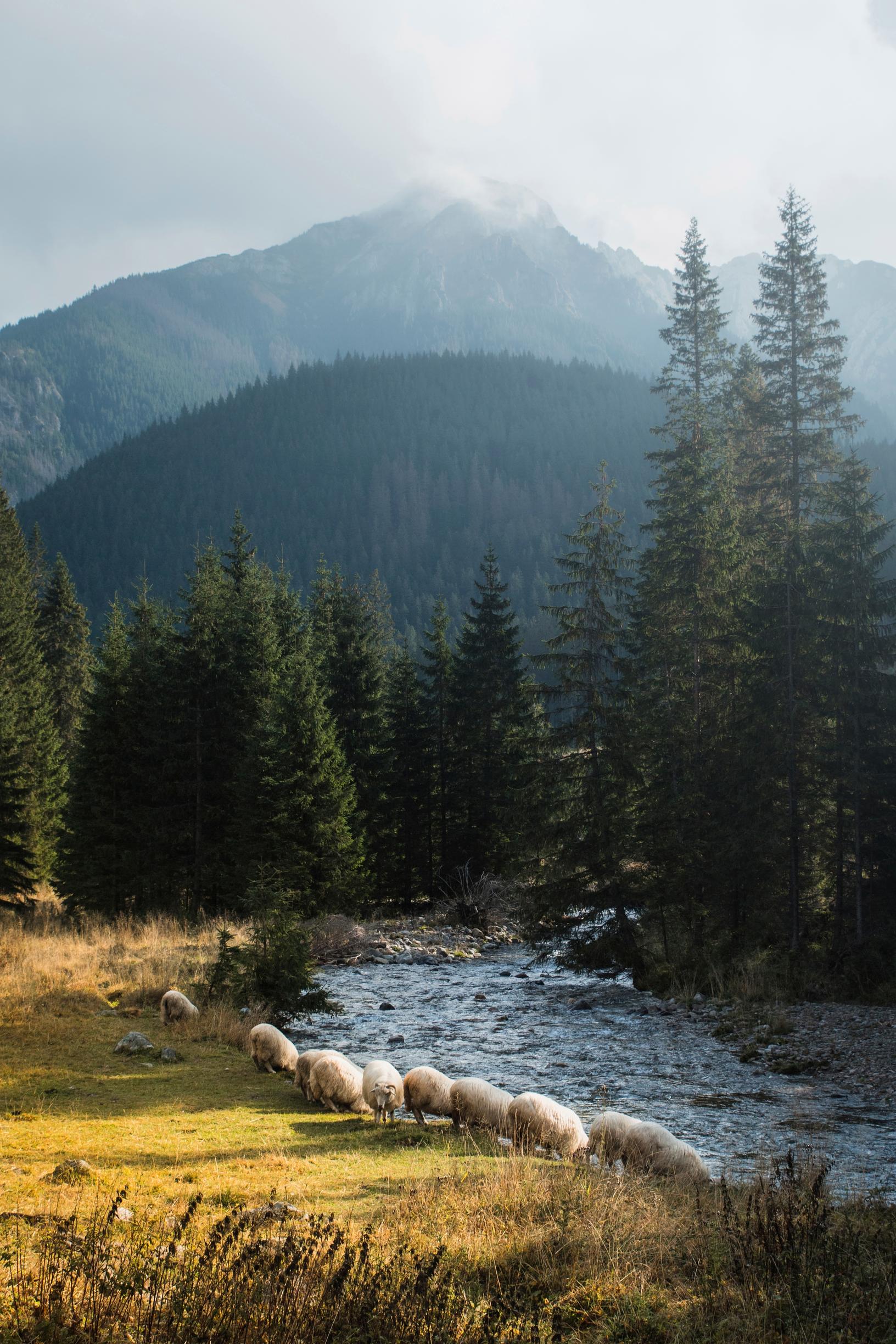 Tatravuorten maisemat tekevät vaikutuksen vaeltajaan | Mondo