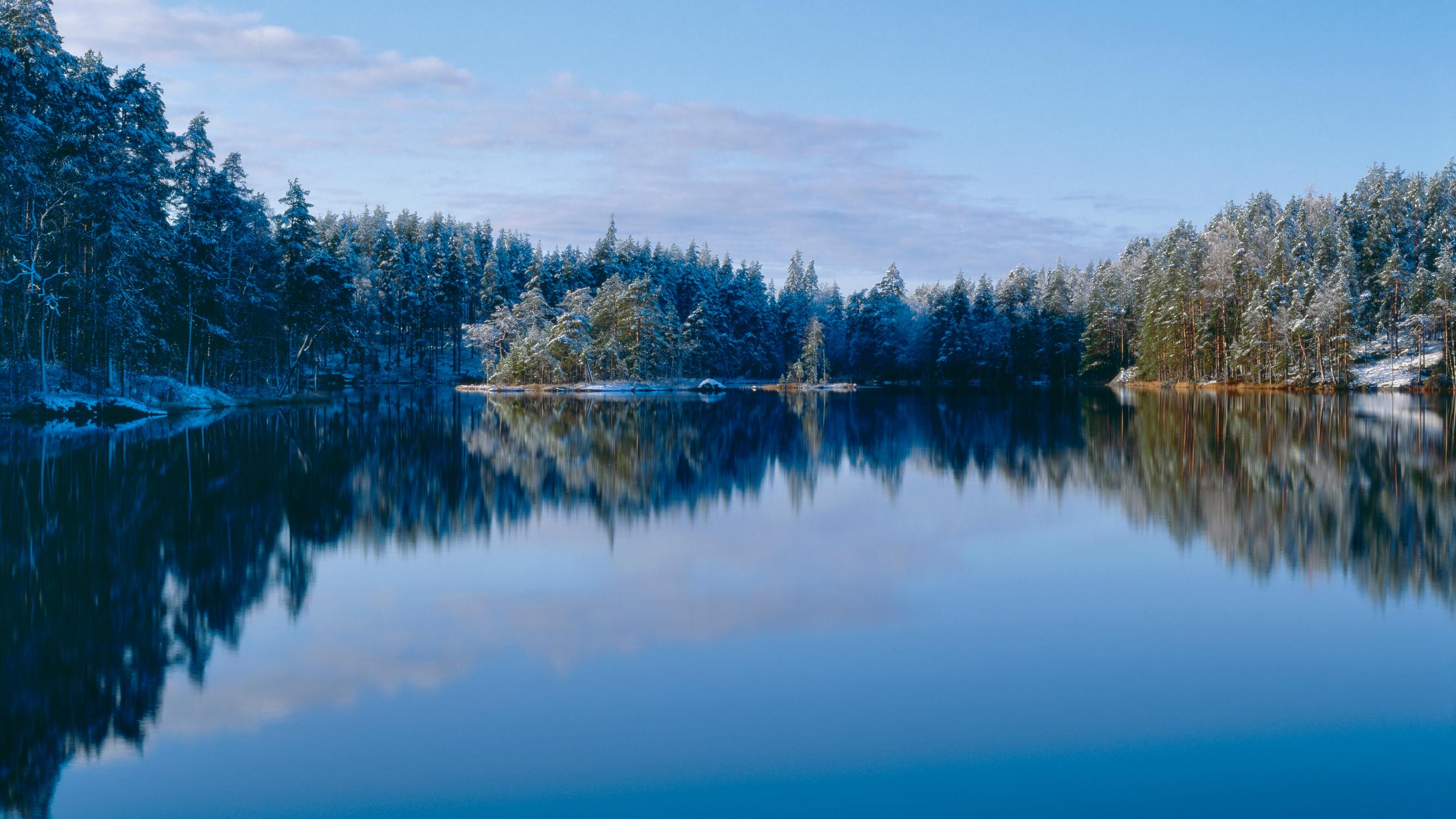 Marraskuu luonnossa: Hiljaisuus ennen talvea – Upeat luontokuvat | Apu