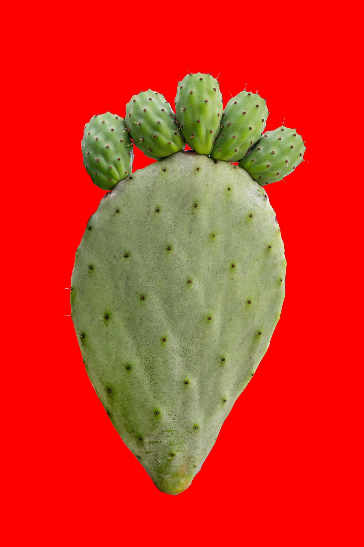 Kihti ja ruokavalio: Miten eroon kivusta? Apu-klinikka vastaa | Apu