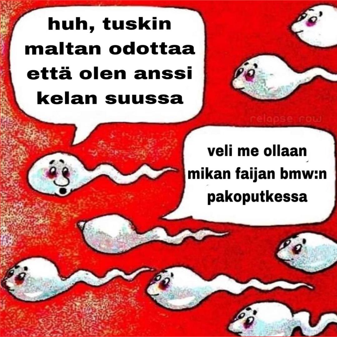 Meemit: Iskähuumoria, "aivomätää" ja poliittista satiiria | Apu