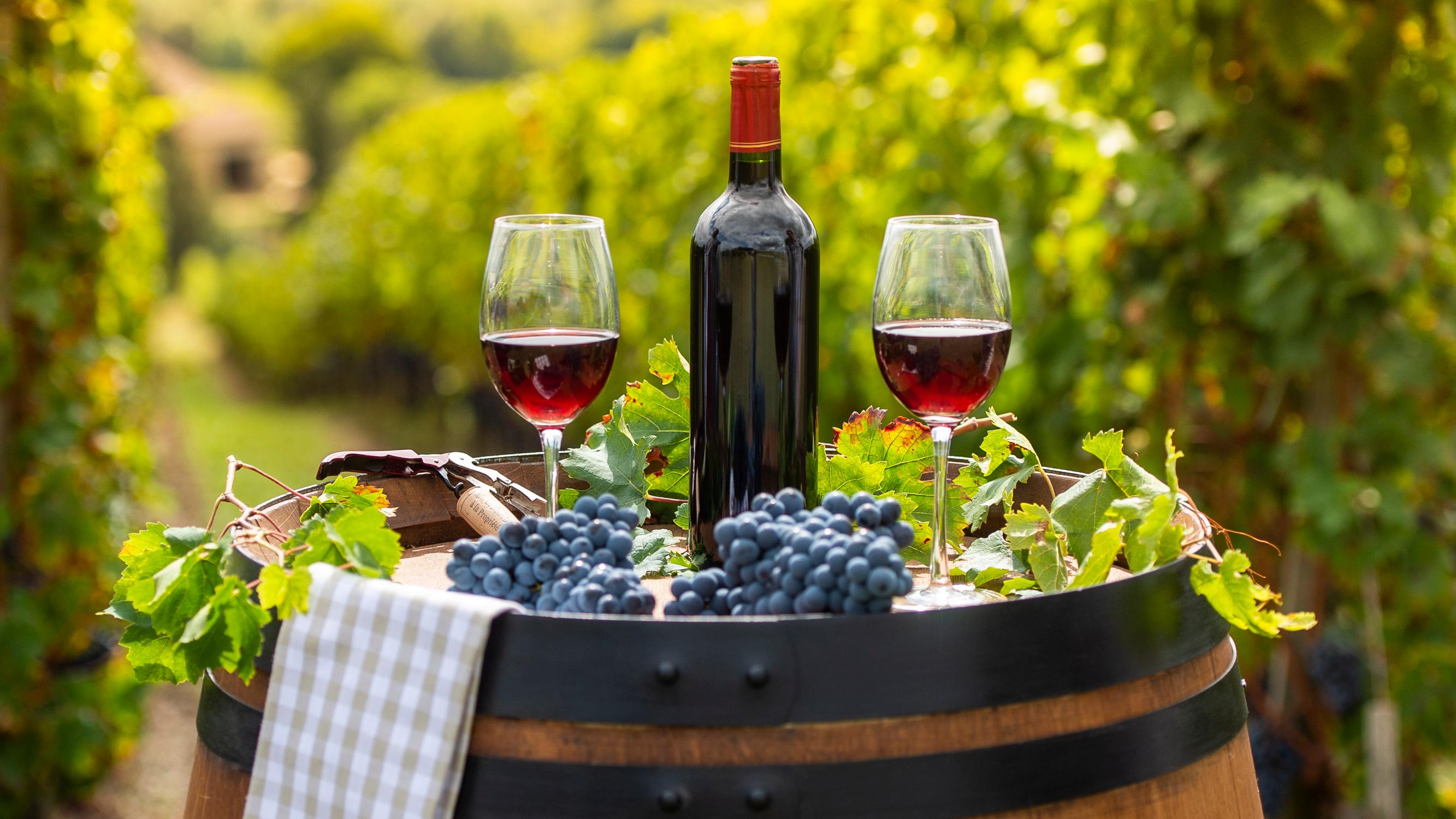 Ranskan viinit, Ruotsin kuninkaalliset | Apu-visa testaa tietosi | Apu