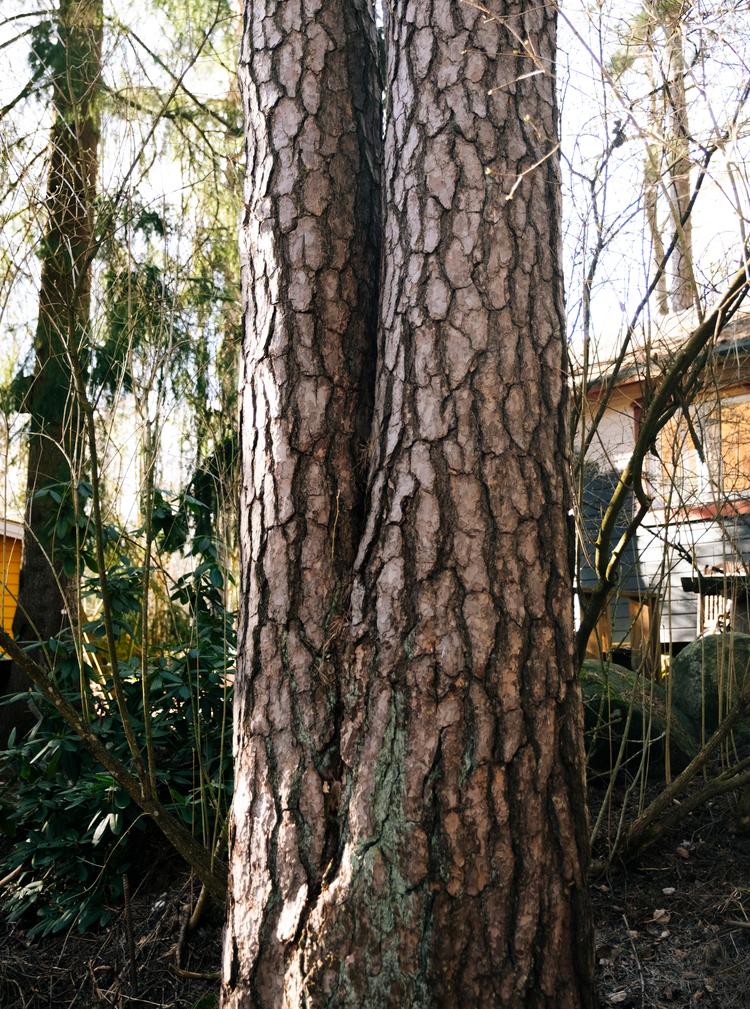 Sarjamurhaaja jäi kiinni sattumalta | Näin paljastui Ismo Junni | Apu