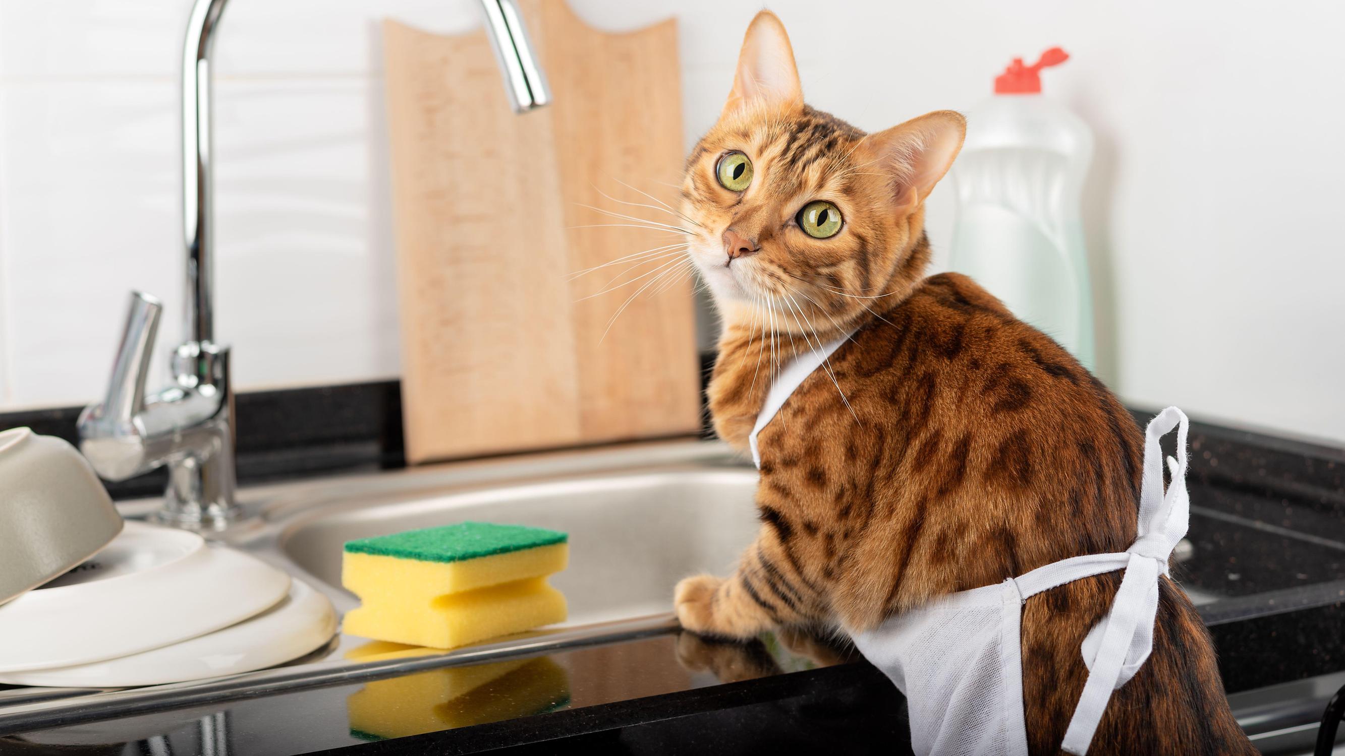 Saako viemäriin kaataa kiehuvaa vettä? Asiantuntija vastaa | Apu