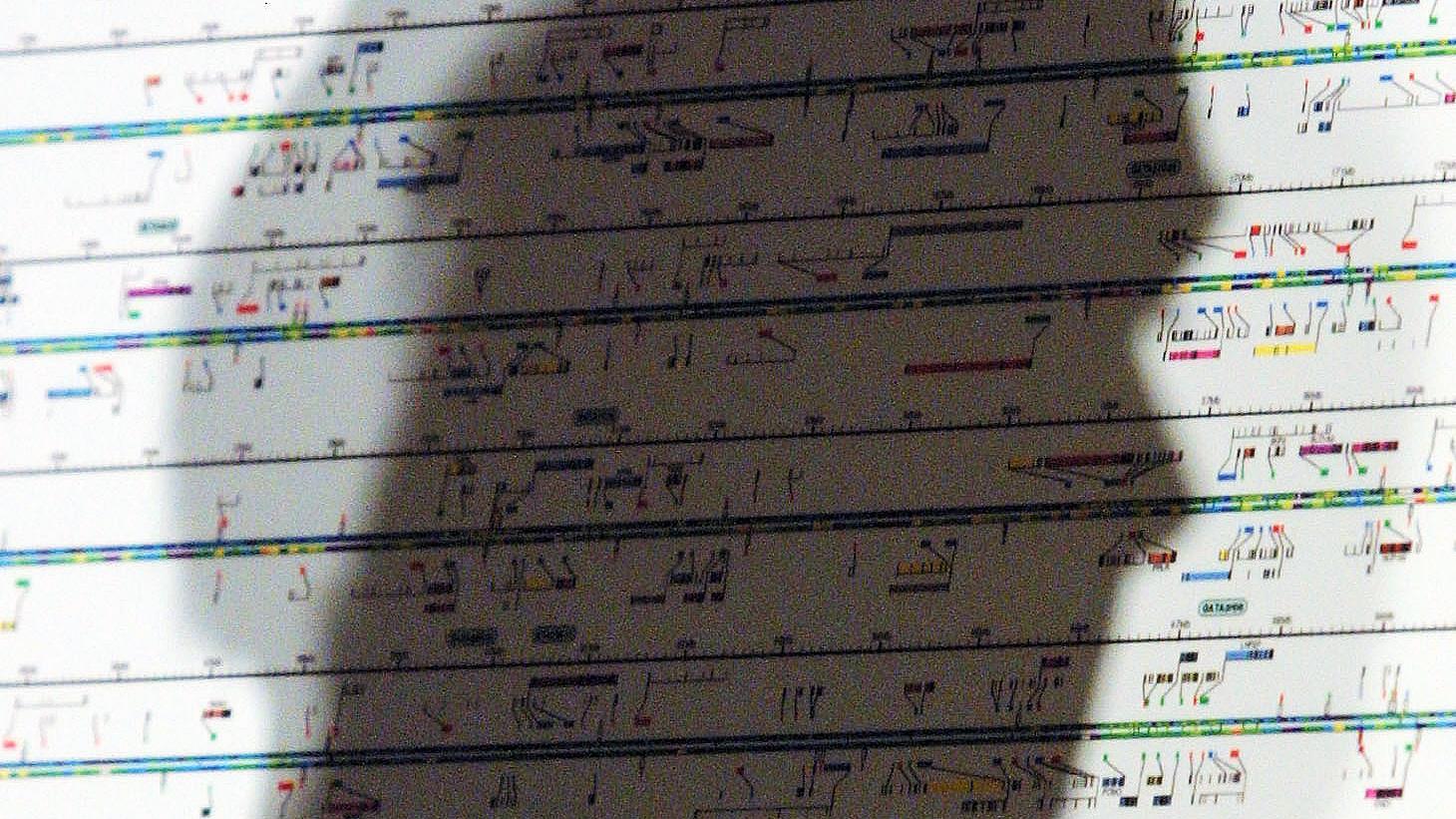 Insesti | DNA-testit paljastavat, että insesti on varsin yleistä | The ...