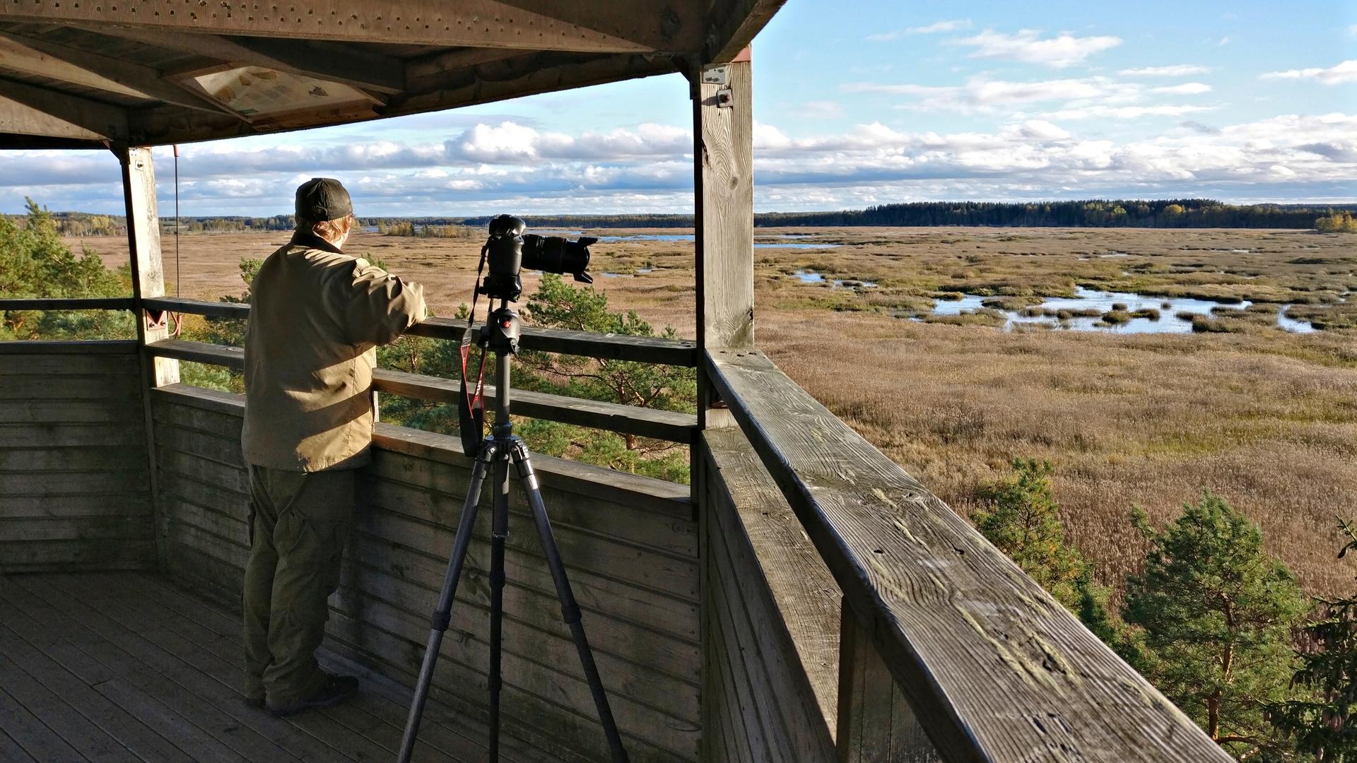 Puurijärvi-Isosuon kansallispuisto | Näe harvinaiset lintulajit | Apu