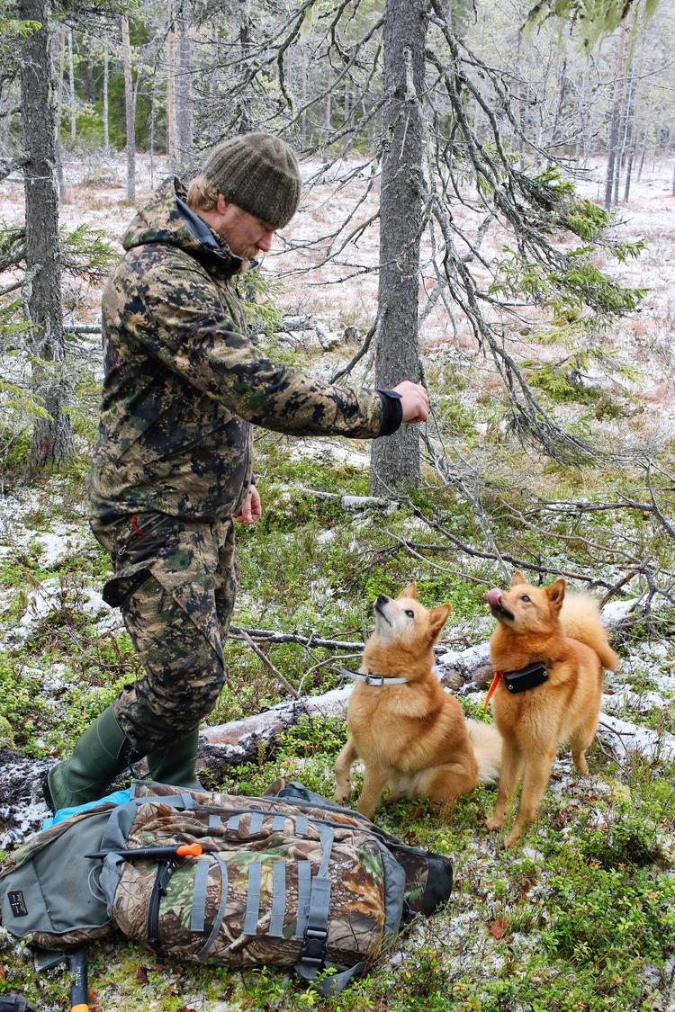Elämäni koira | 12 syksyä yhdessä metsällä: "Lyyli valitsi minut" | Apu